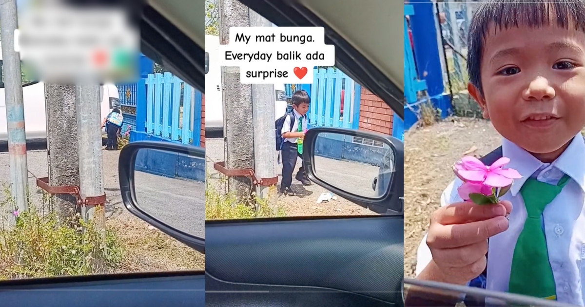 “Mat Bunga” – Ibu Terharu Anak Hari-Hari Petik Bunga Bagi Padanya Lepas ...