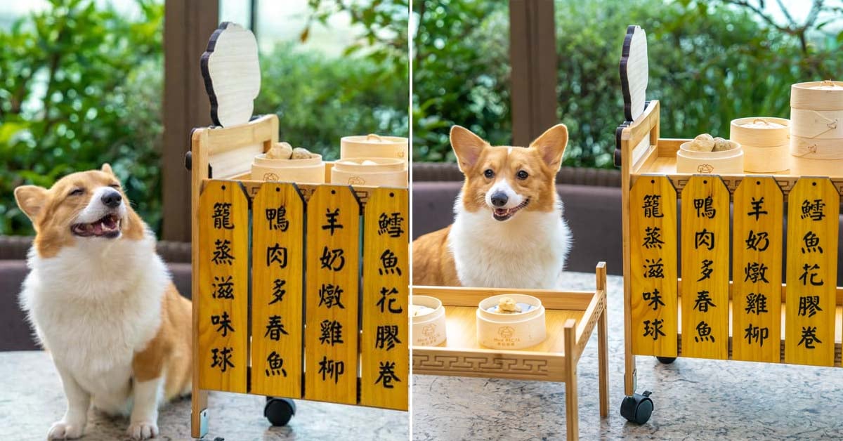 Hotel In Hong Kong Serves ‘Dim Sum’ For Doggos So Pets Can ‘Yum Cha’ Also