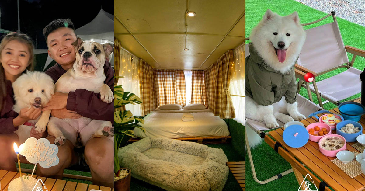 There’s A Pet-Friendly Glamping Site Surrounded By Nature That’s Less ...