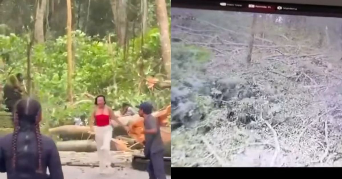2 Tourists Killed In Bali After Being Hit By Falling Tree Branch