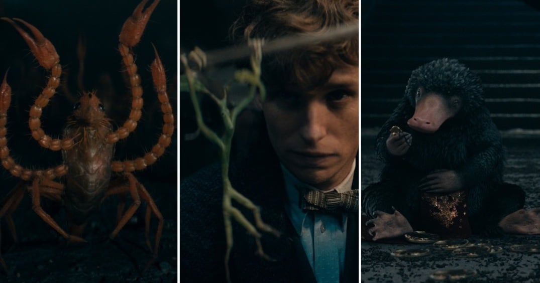 Coming To HBO GO: 6 Creatures To Catch In ‘Fantastic Beasts: The ...