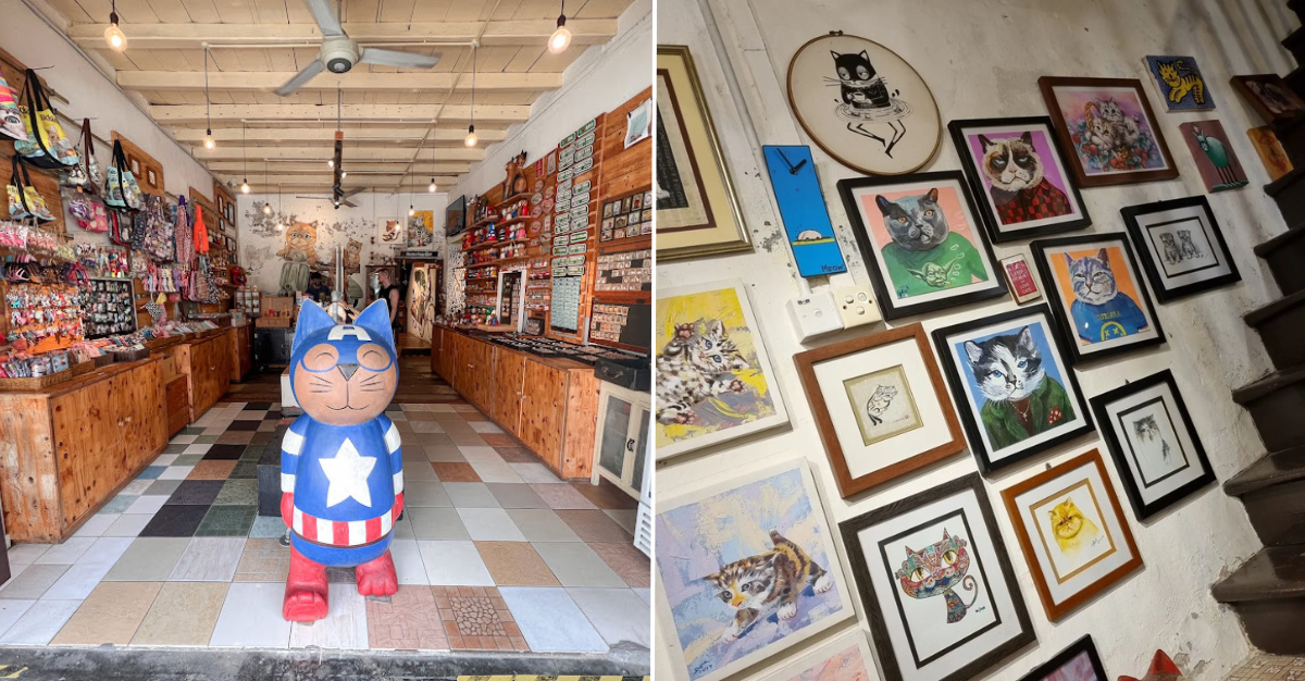 This Cat-Themed Souvenir Shop In Penang Should Be On All Feline Lovers ...