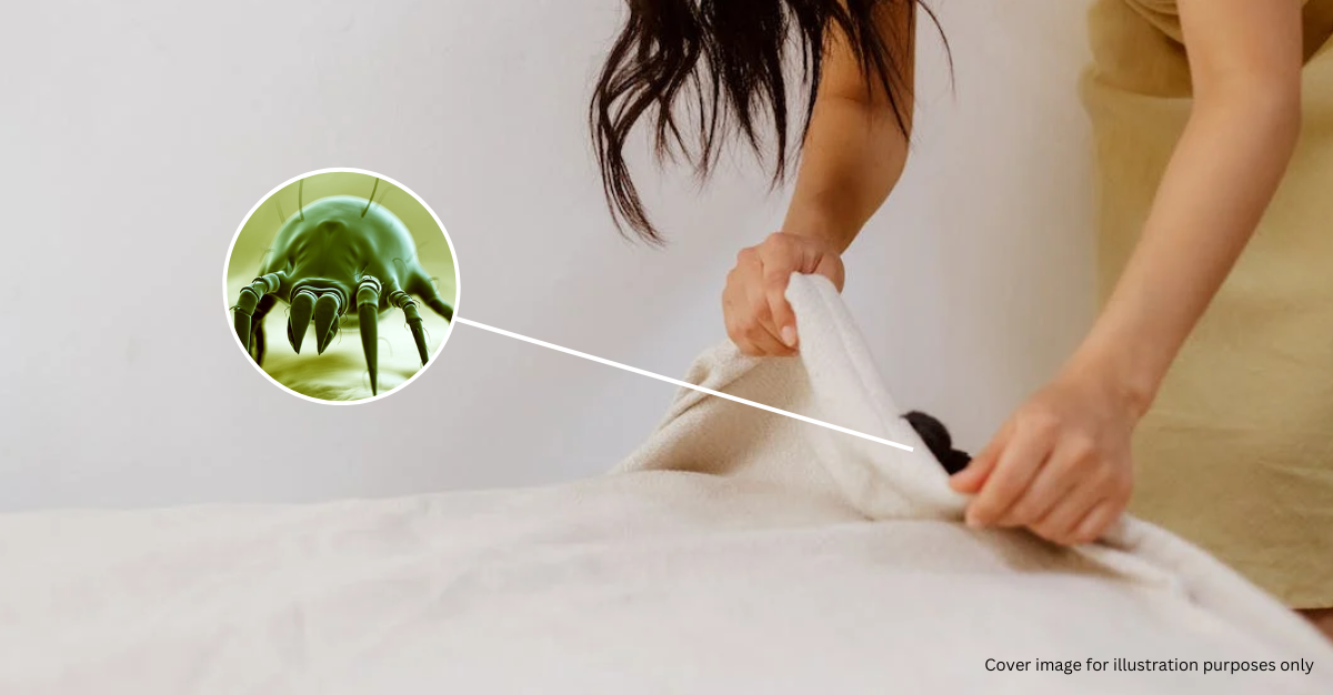 The Creepy Crawlies Under Your Sheets Unmasking The Horror Of Larvae Bugs In Bed