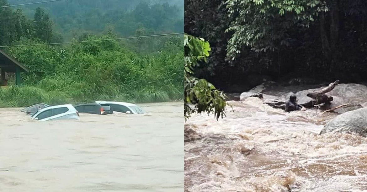 Awas! Elak Jadi Mangsa, Ini 5 Tanda-Tanda Kepala Air Akan Muncul Ketika ...