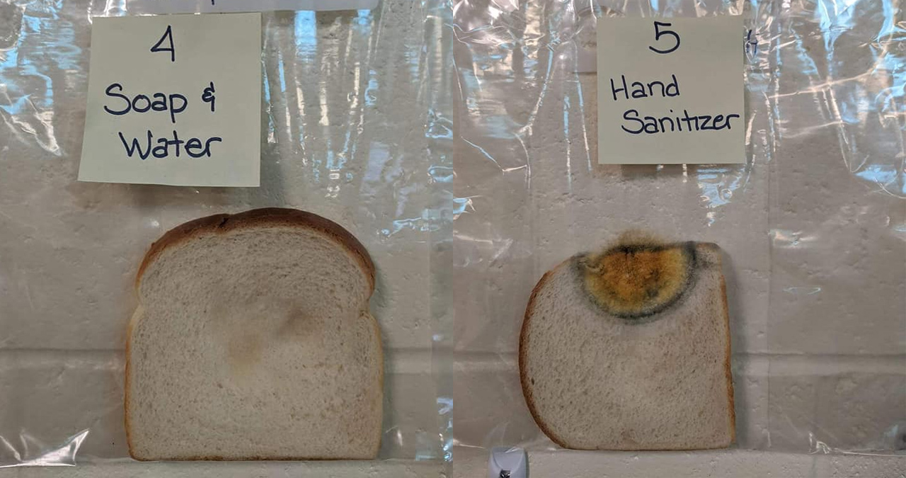 Simple Class Project Shows Why Washing Hands Is More Effective Than ...