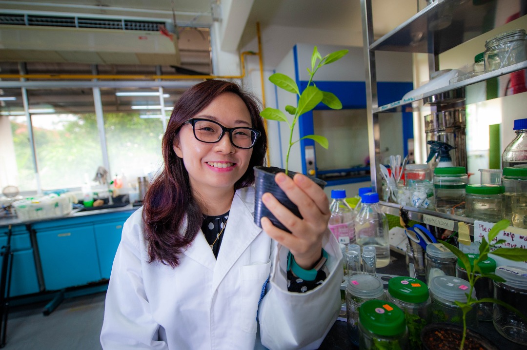 This Award-Winning Malaysian Scientist Uses Technology To Help Farmers ...