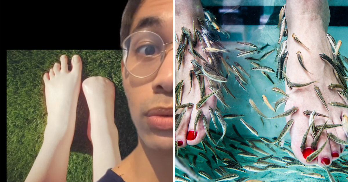 Doctor Claims You Should Avoid Fish Spas If You Have Wounds As You ...