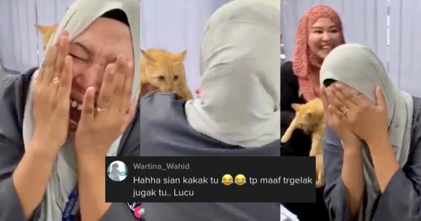 “Jerit Satu Office” – Kawan Saja Sakat Bagi Kucing, Tak Sangka Wanita ...