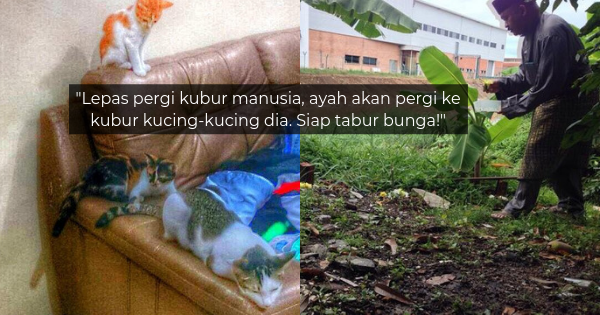 “Sungguh Rindu Dia Pada Kucingnya” – Perkongsian Ini Buat Ramai ...