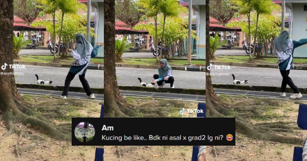Excited Tiap Kali Jumpa Kucing, Gelagat Remaja Perempuan Ini Buat Ramai ...