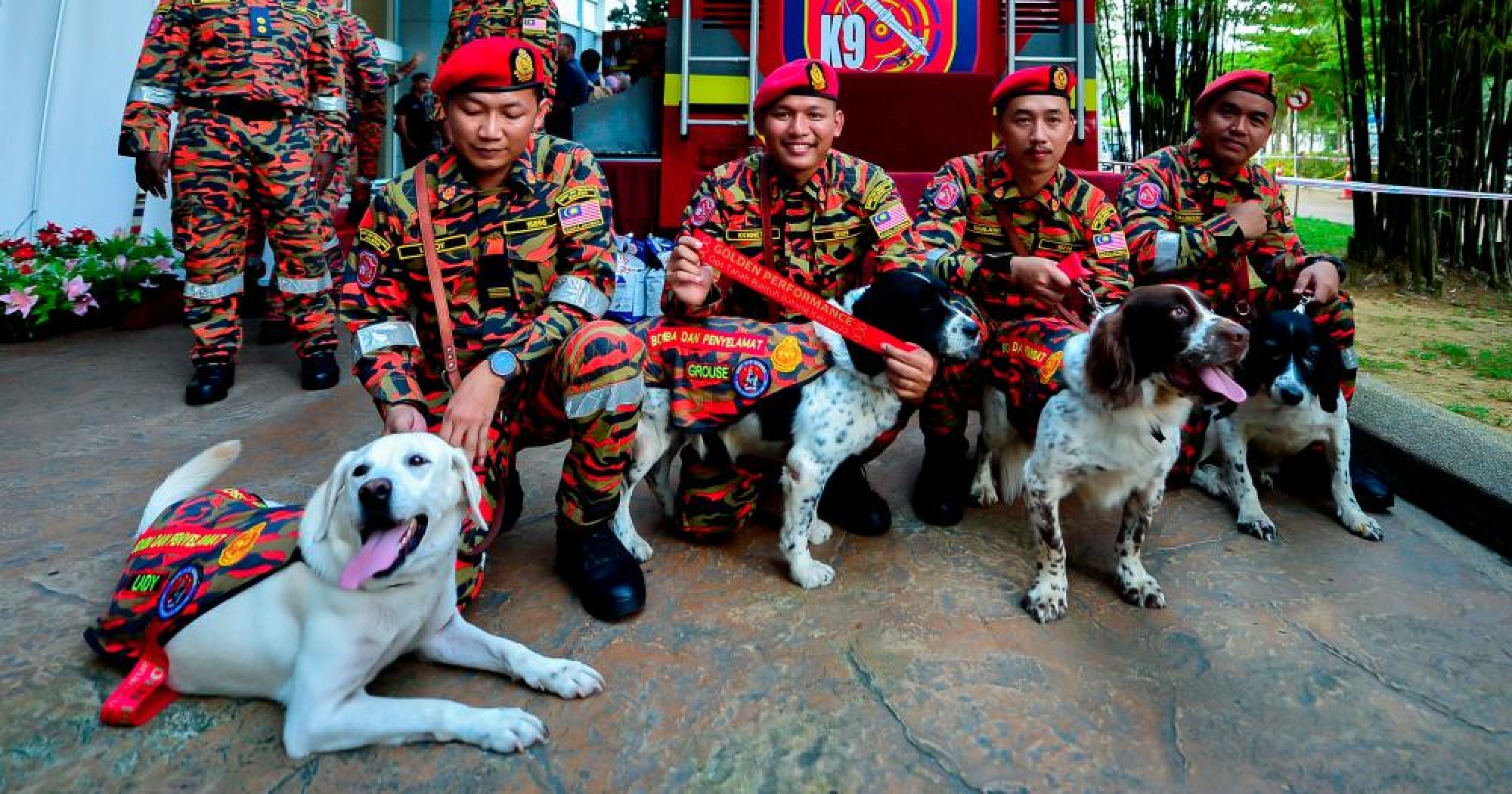 “The Fantastic 6”: Batang Kali K9 Sniffer Dogs Awarded With ‘Golden ...