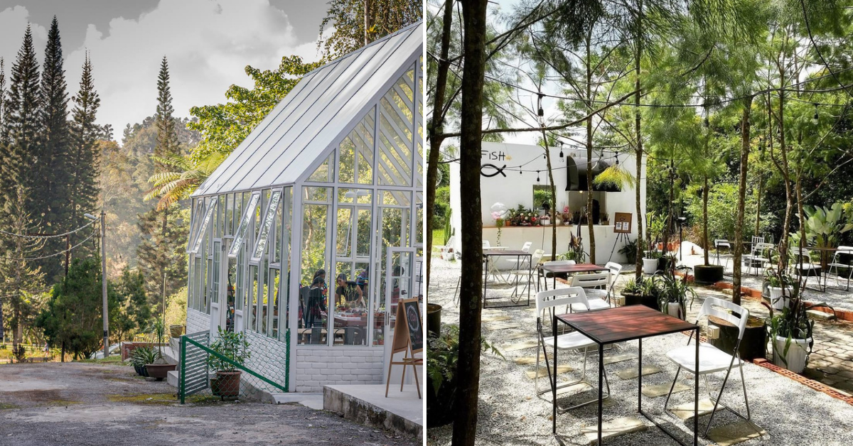 15 Insta-Worthy Cafés To Check Out With Friends When Travelling Is ...