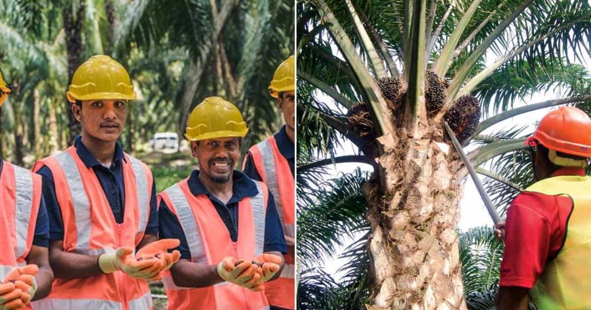 Here’s What This Local Company Is Doing To Empower Workers In Their ...