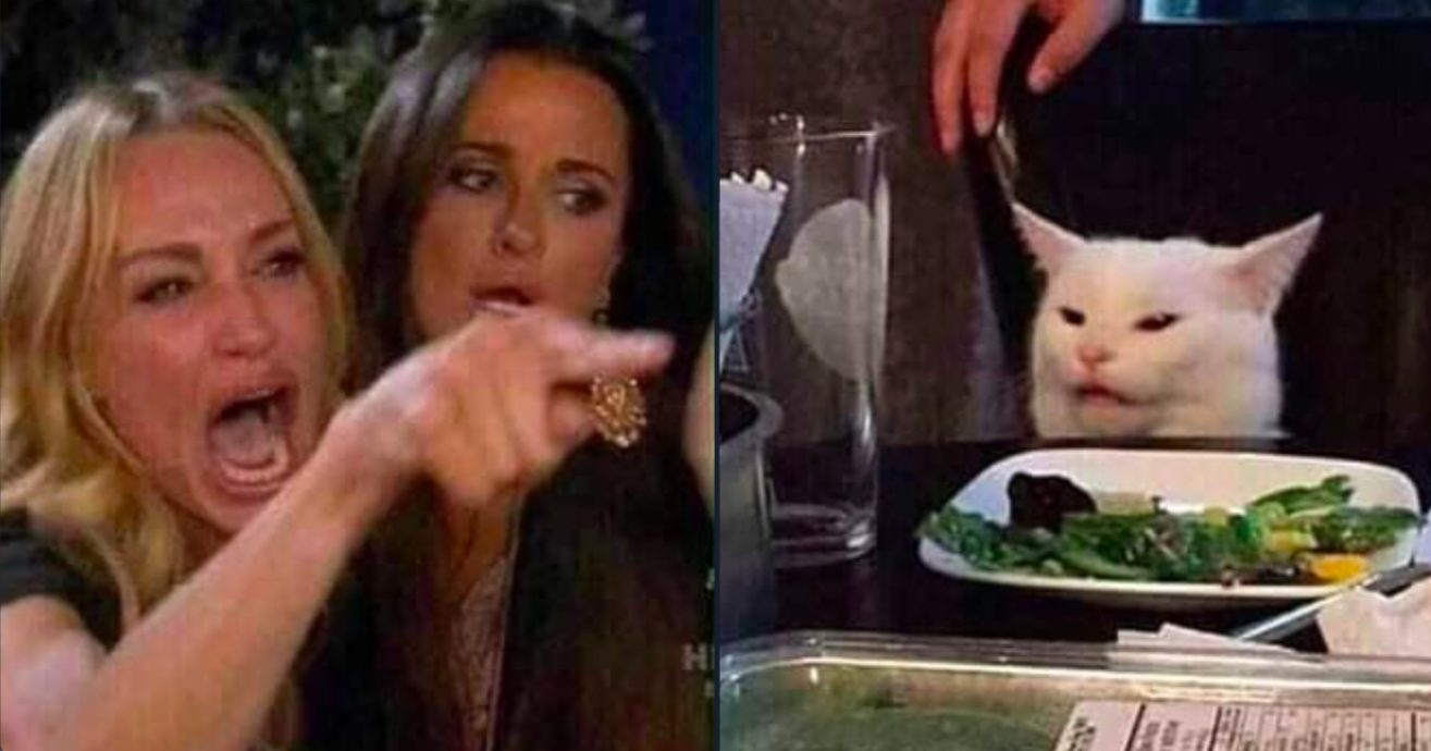 You Have Seen & Shared The ‘Woman Yelling At Cat’ Meme. Now Read The ...