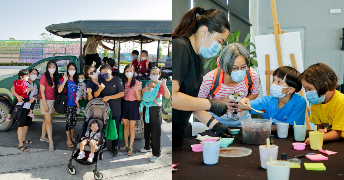 Learn About Wetlands And Biodiversity With Fun Workshops & Cool ...