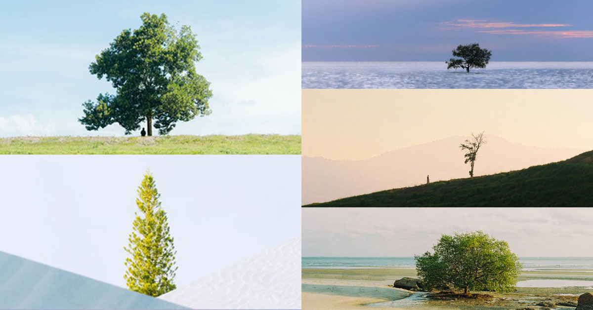 Malaysian Photographer’s Dreamy Photos Of ‘Lonely Trees’ Goes Viral