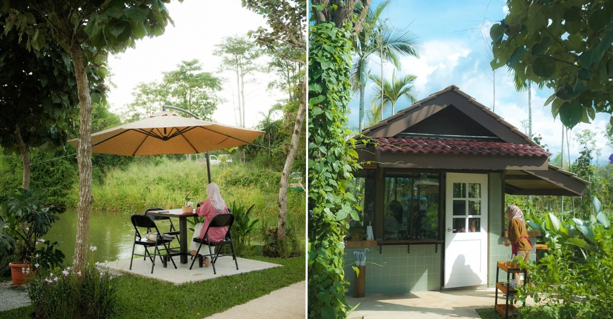 New Hidden Café In A Nursery With Lakeside Views In Kedah Is Every ...