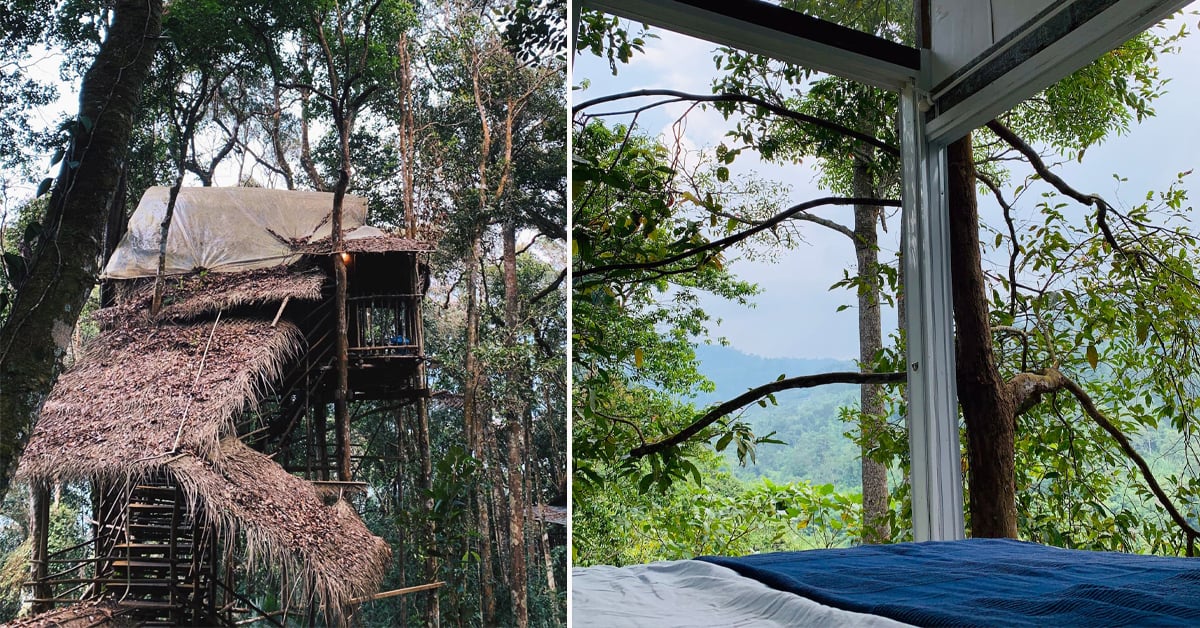 10 Tree Houses In Malaysia To Live Out Your Tarzan & Jane Fantasies
