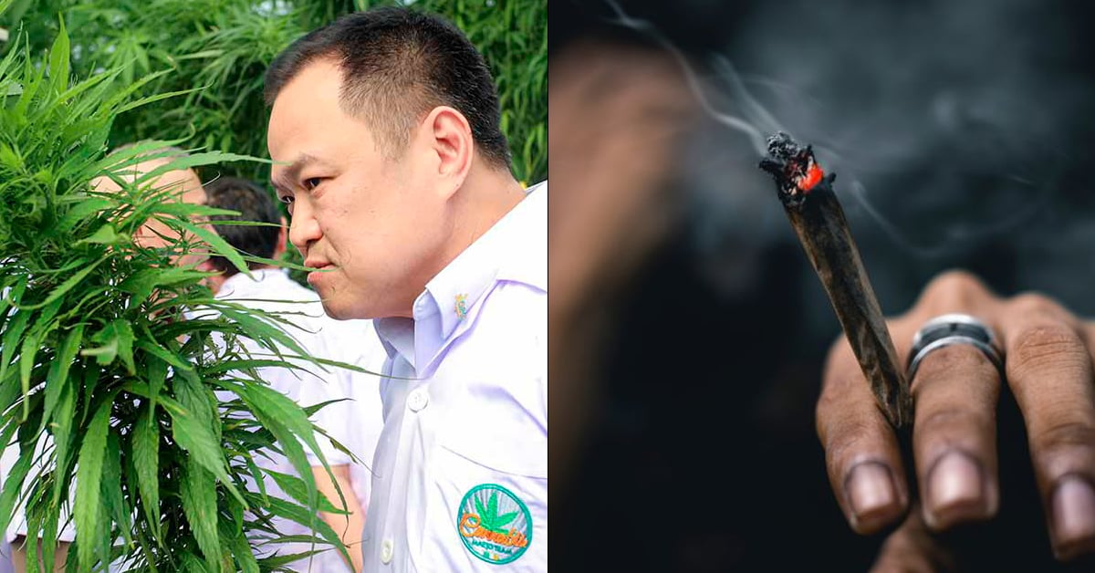 People In Thailand Can Now Grow And Smoke Their Own Weed