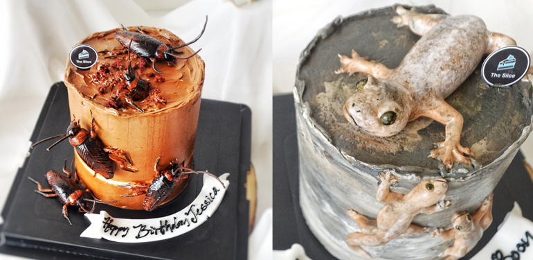 Ipoh Bakers Go Viral For Making Realistic Edible Cicak And Cockroach Cakes