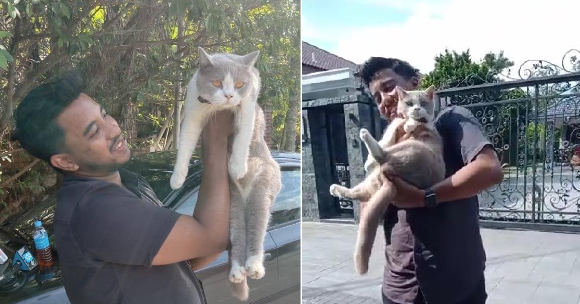 Anwar Ibrahim’s Cat Becomes Star Of The Show As He Comes Out To Greet ...