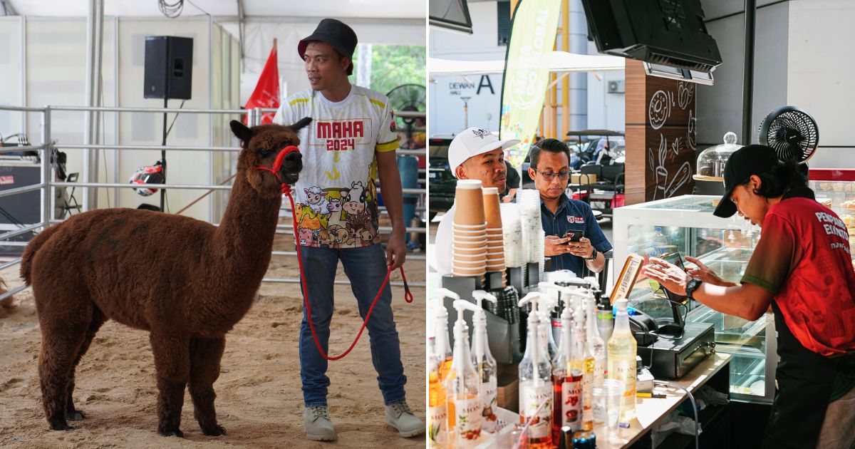 From Cute Animal Parks To Food Trucks, There’s Lots To Do With Your ...
