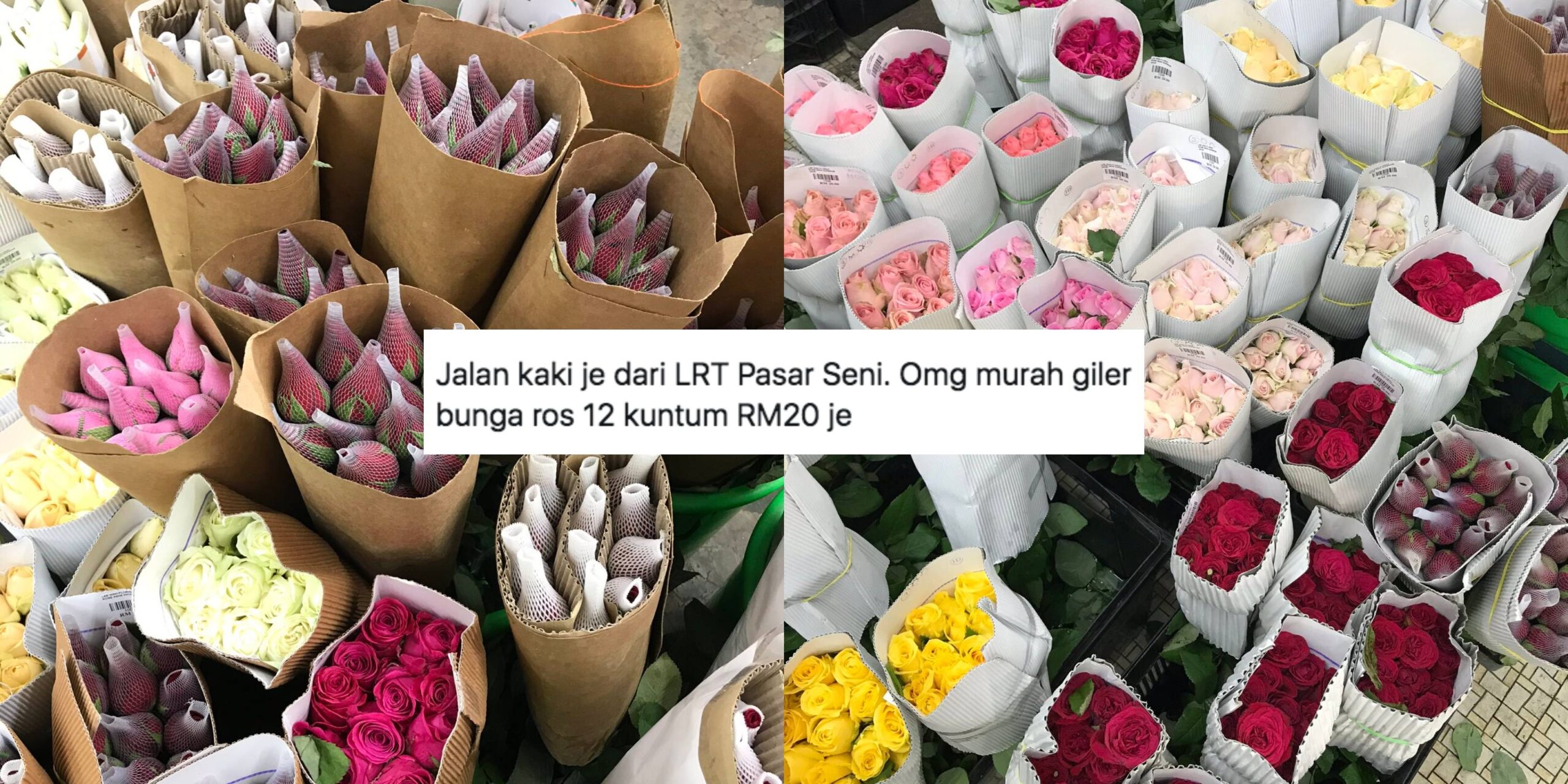 Bunga Ros 12 Kuntum RM20 Sahaja & ‘Fresh Flowers’ Lain Di Kedai Bunga ...