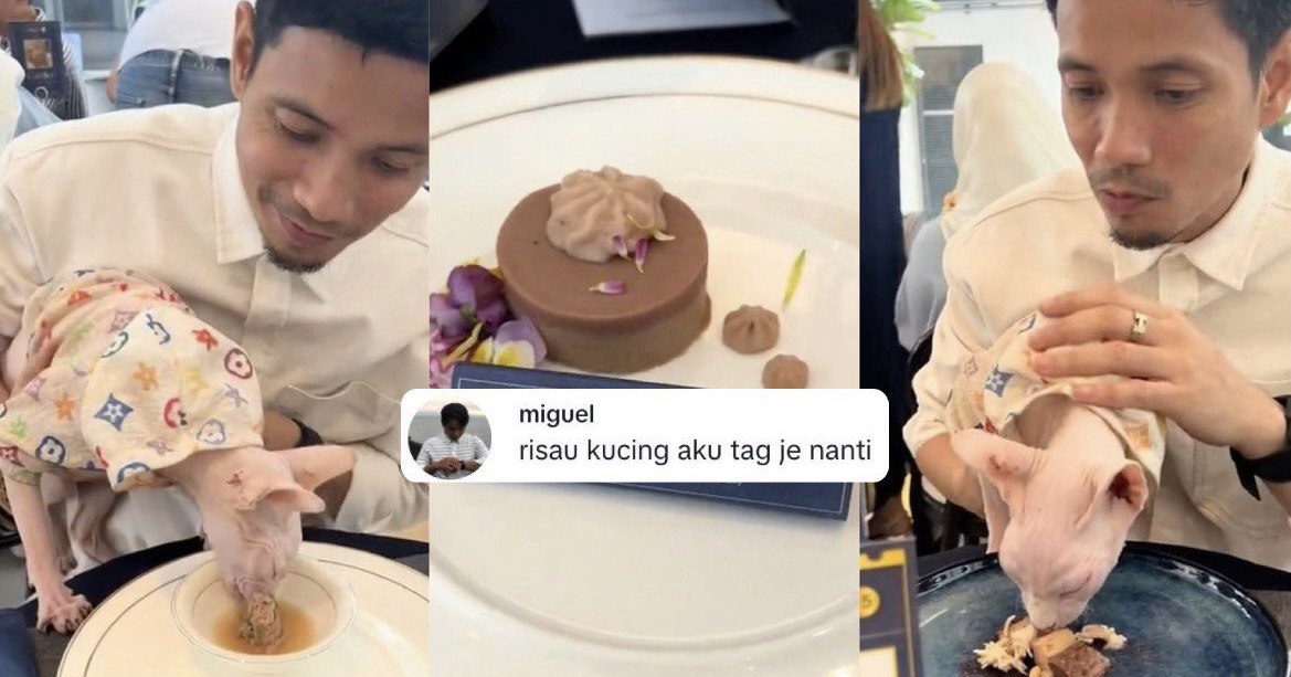 [VIDEO] Mark Adam Bawa Kucing Pergi ‘Fine Dining’, Siap Ada Layanan ...