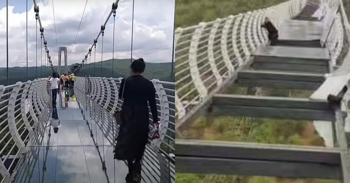 China Tourist Left Hanging 100M Above Ground After Glass-Bottomed ...