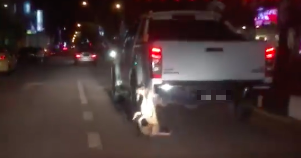 Video Shows A Dog Being Dragged Behind A Pickup Truck In Taiping