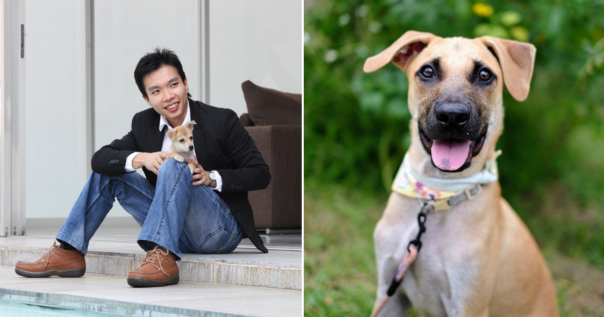 “Diamond In The Ruff” — Meet The IT Whizz Who Built Malaysia’s Leading ...