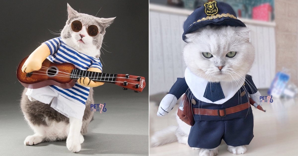These Adorable Costumes Let Your Pets Join In On The Spooky Halloween Fun