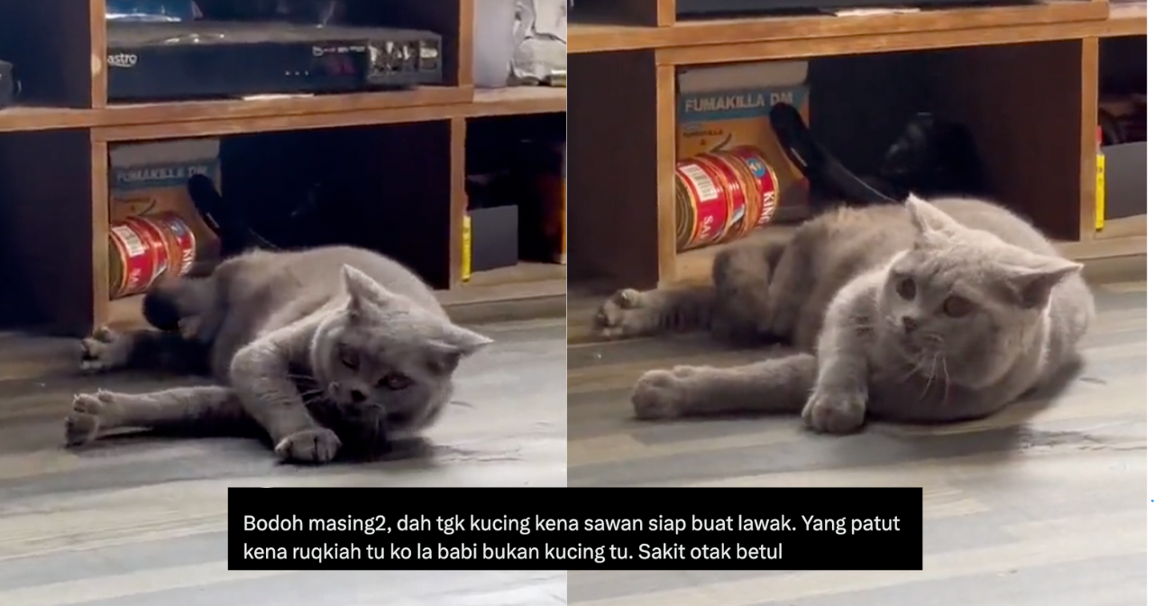 Kucing Kena Sawan, Tapi Ada Yang Buat Lawak Kena Ruqyah Ini Jadi ...