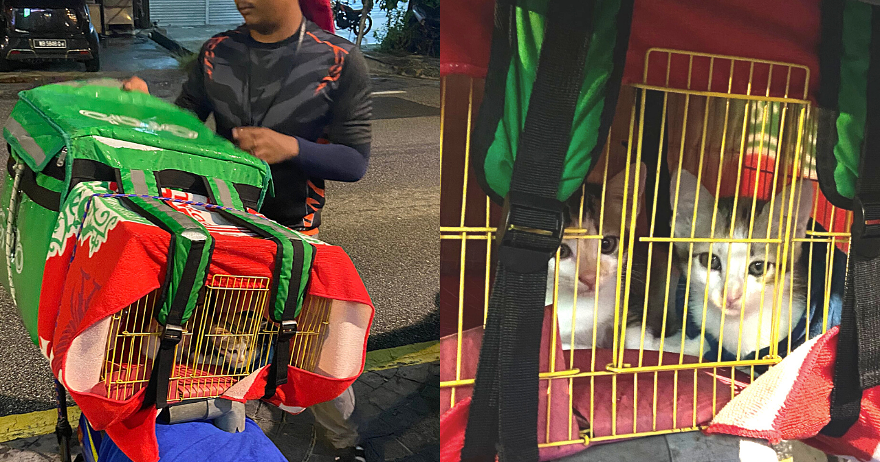 This Grab Rider Brings His Cats Along To Deliver Food And It’s The ...