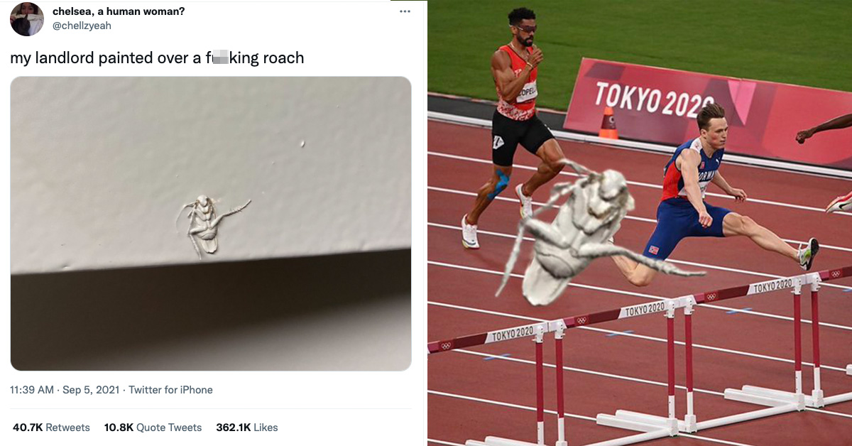 People Are Sharing Hilarious Memes After Landlord Paints Over A Dead ...