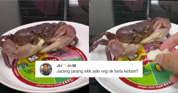 [VIDEO] Ingatkan Kucing Je Yang Rosak, Rupa-Rupanya Si Ketam Pun Ikut Sama