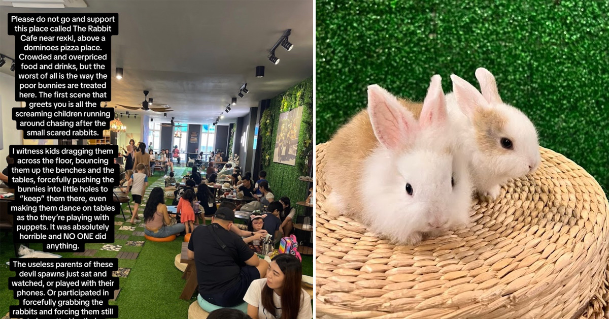 New Rabbit Café In KL Responds To Allegations Of Letting Customers ...