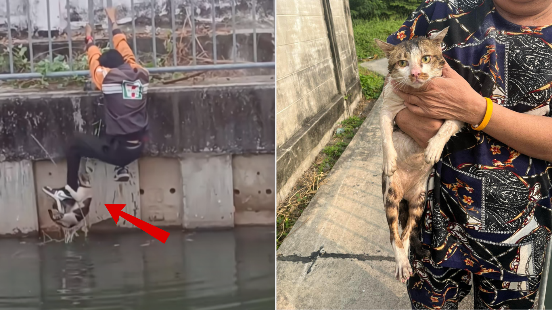 Thai 7-Eleven Employee Saves Drowning Cat Despite Not Being Able To Swim