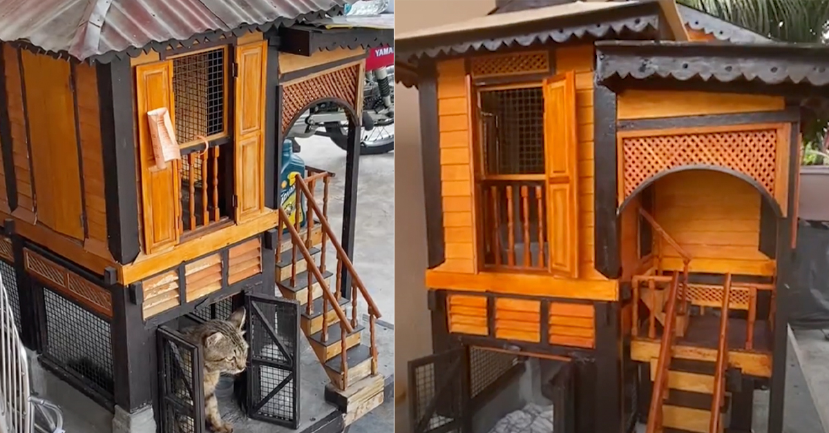 “Nak House Tour” — This Handmade Kampung Cat House Is Too Adorable