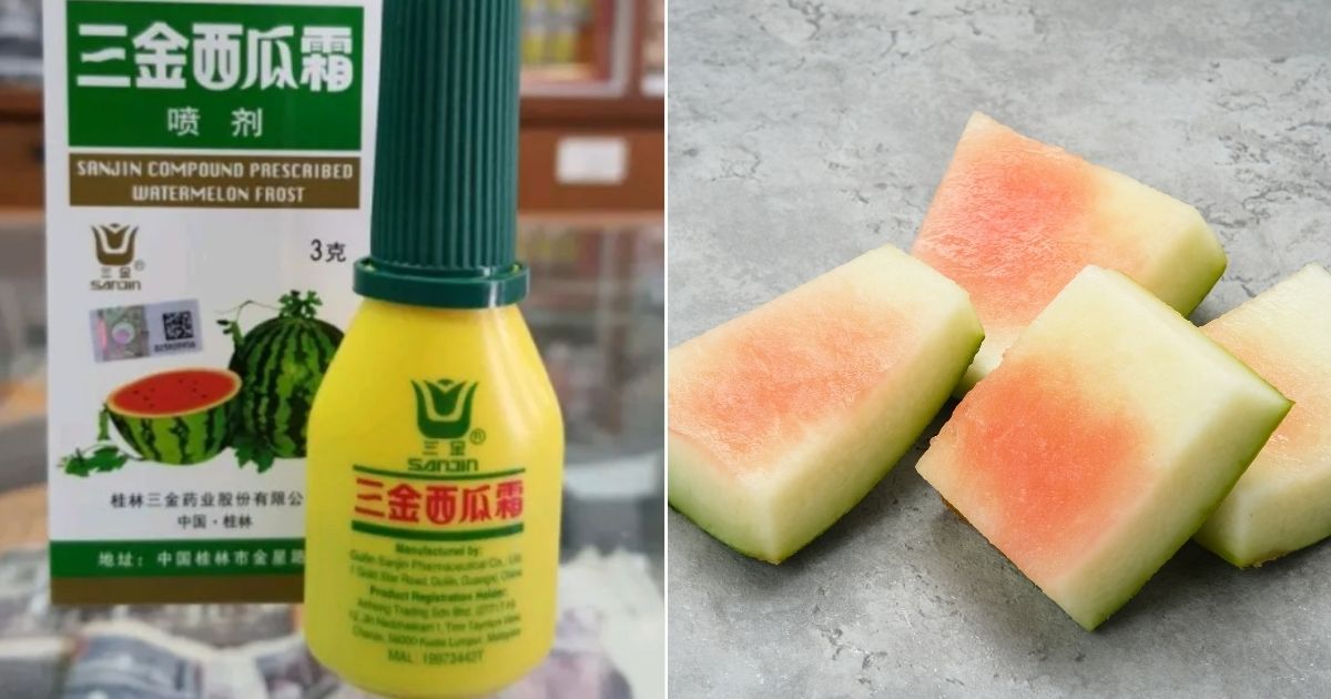 What Is This 'Watermelon Medicine' And Why Chinese People Use It For ...