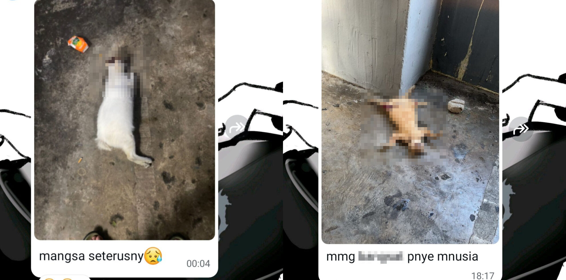 Several Cats Found Dead At Ampang Apartment, Residents Heartbroken Over ...