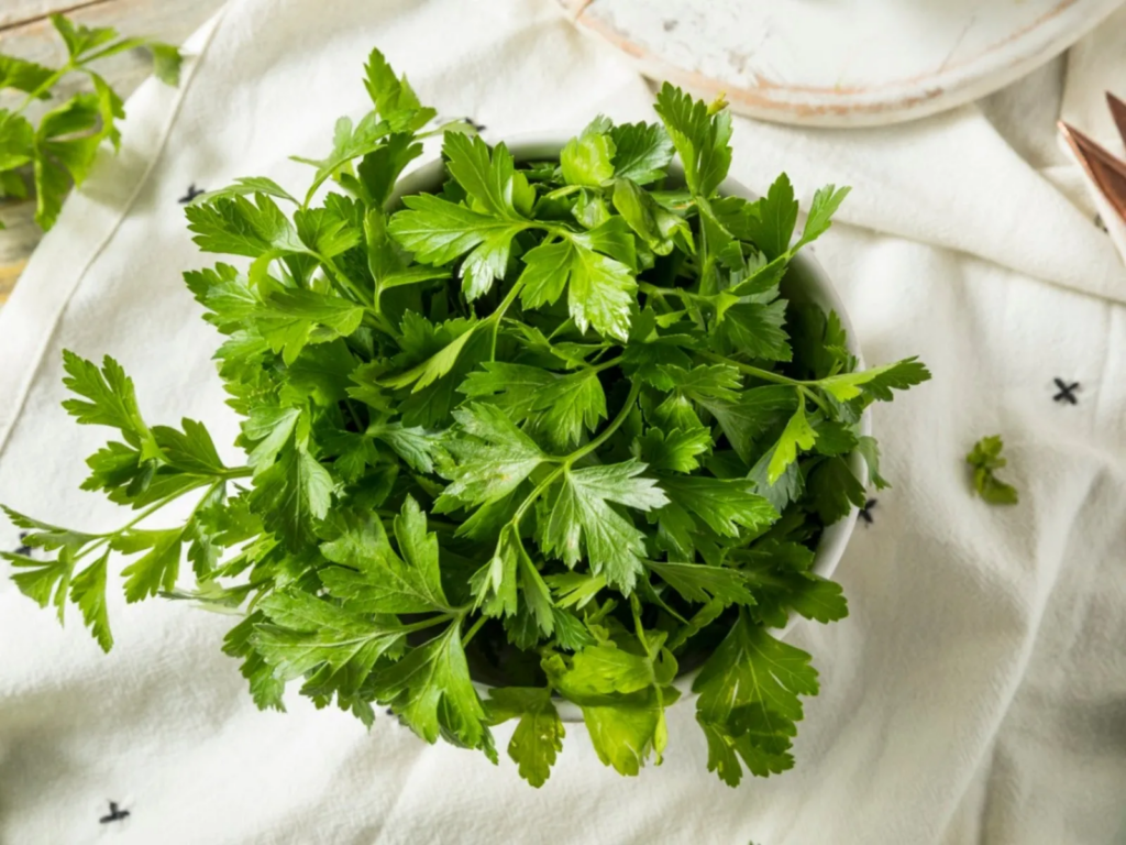What’s The Difference Between Chinese Parsley, Coriander, Italian ...