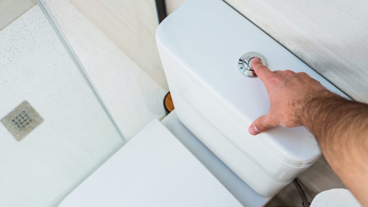 Pernah Tertanya Kenapa Ada Dua Butang Flush Tandas? Ini Fungsi Sebenar Dia