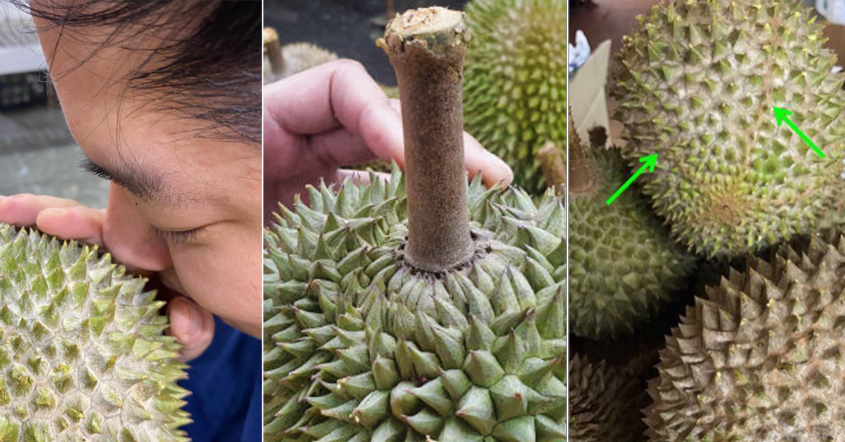 It’s Durian Season! Here’s How To Pick The Best Durian Every Time