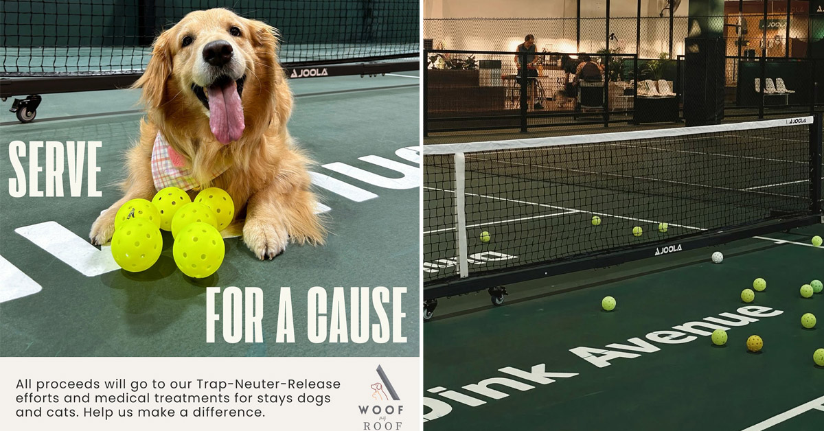 This Pet-Friendly Pickleball Event In September Is Raising Funds For ...