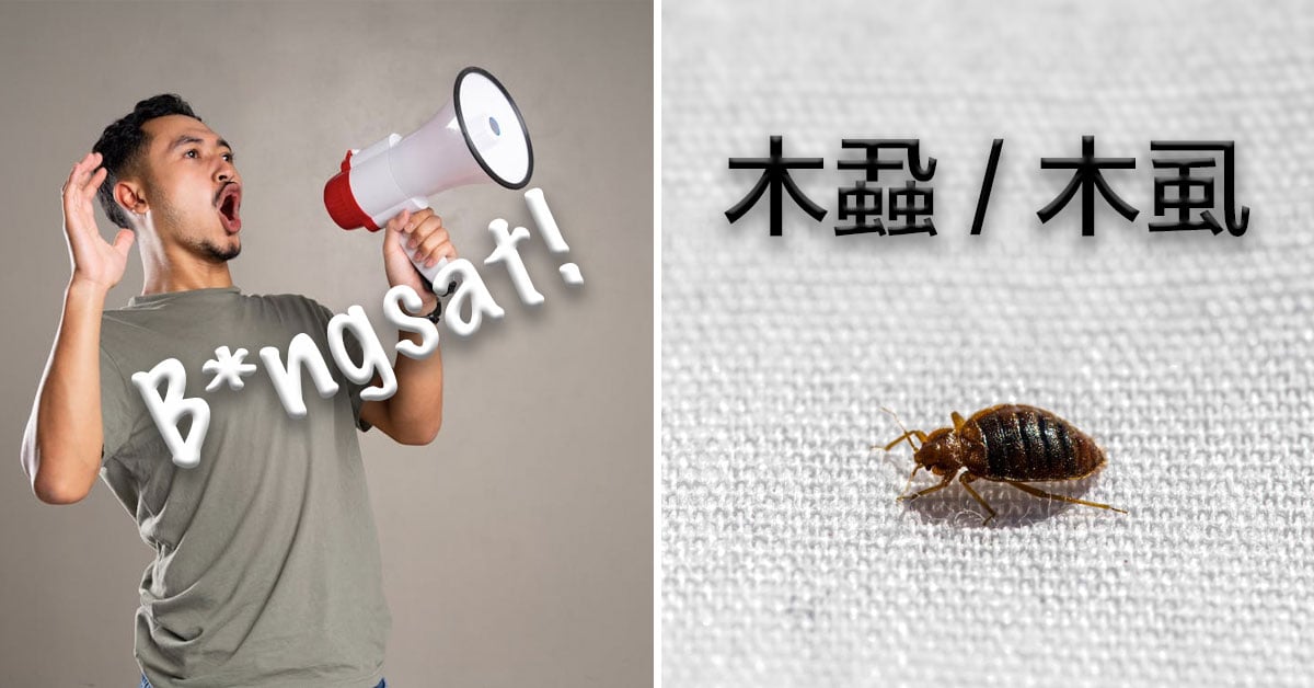 Did You Know ‘B*ngsat’ Comes From A Hokkien Word?