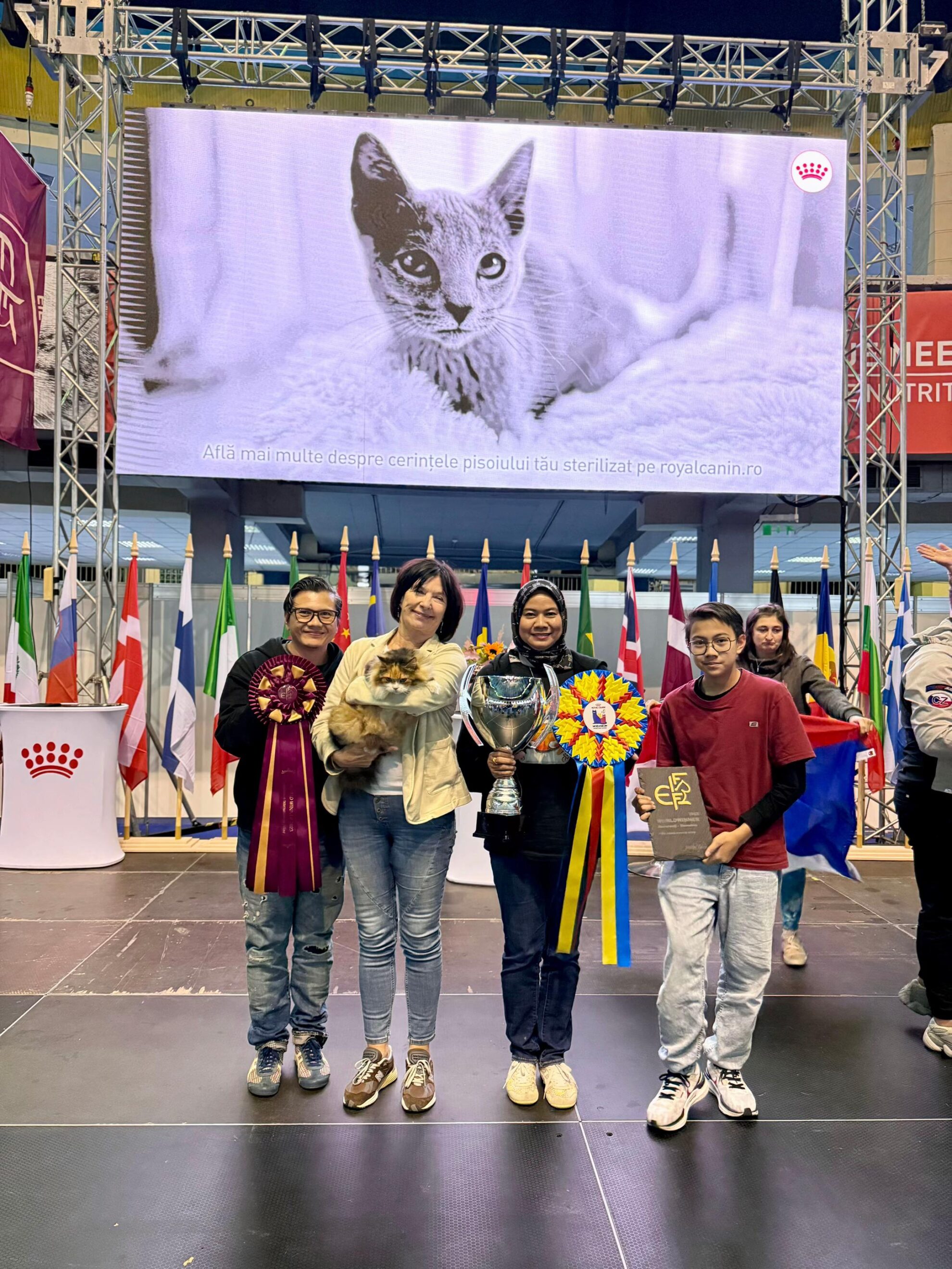 Kucing Malaysia ‘Baby’ Cipta Sejarah Sekali Lagi, Dinobat Juara Dunia 2025