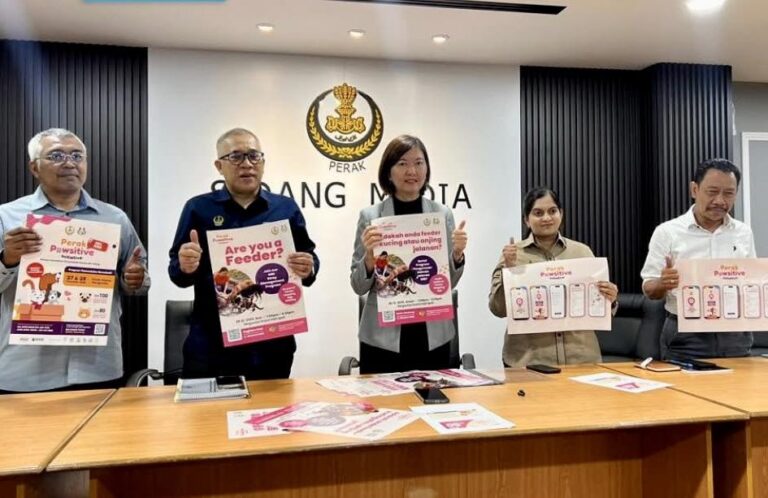 Perak Doubles Funding For Humane Stray Animal Management, Including New ...