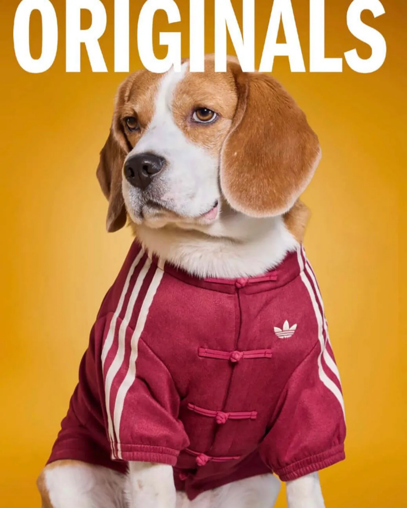 adidas China Drops Matching CNY Streetwear For Your Pet