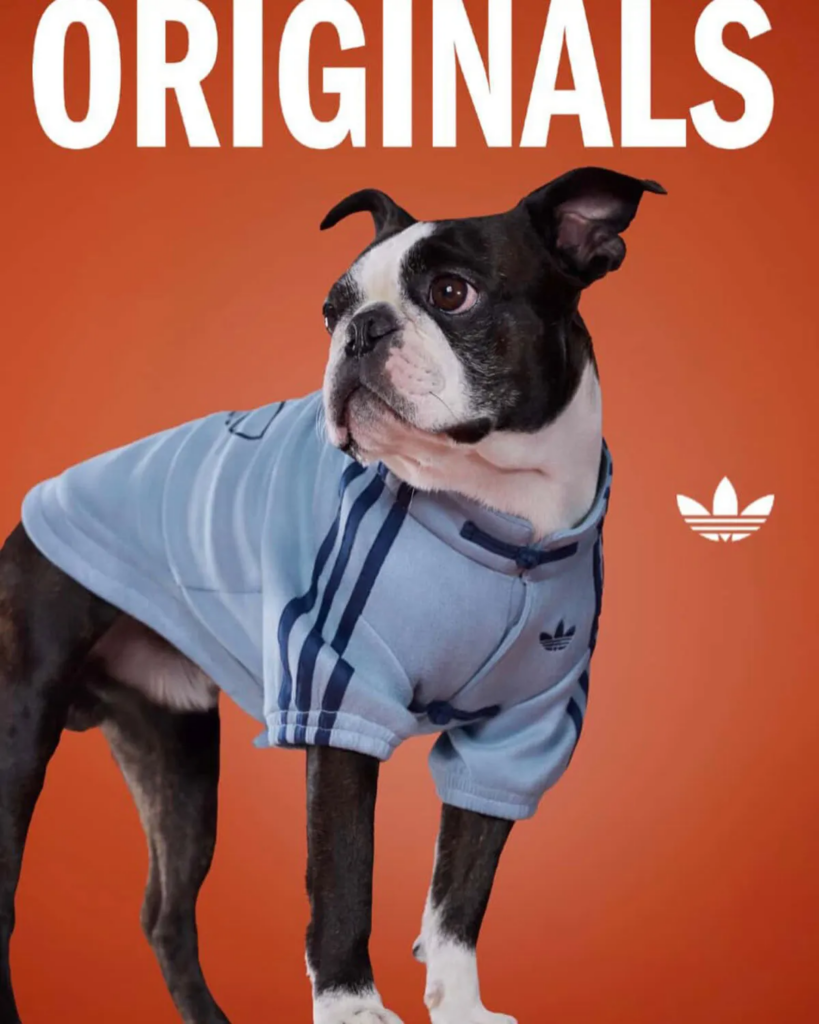 adidas China Drops Matching CNY Streetwear For Your Pet
